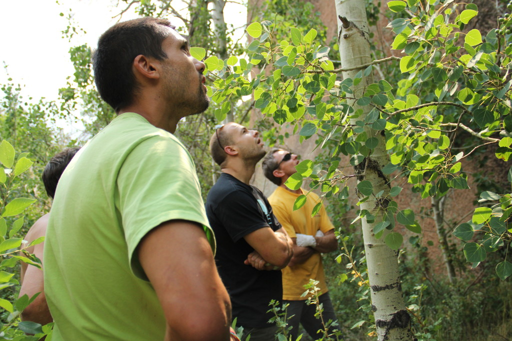 Just Like The Pros- On Set With Bob Scarpelli and Peter Mortimer – The ...