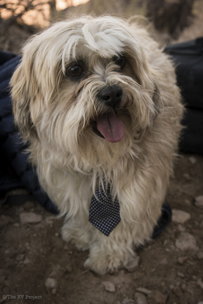 The Crag Dog Blog – The RV Project